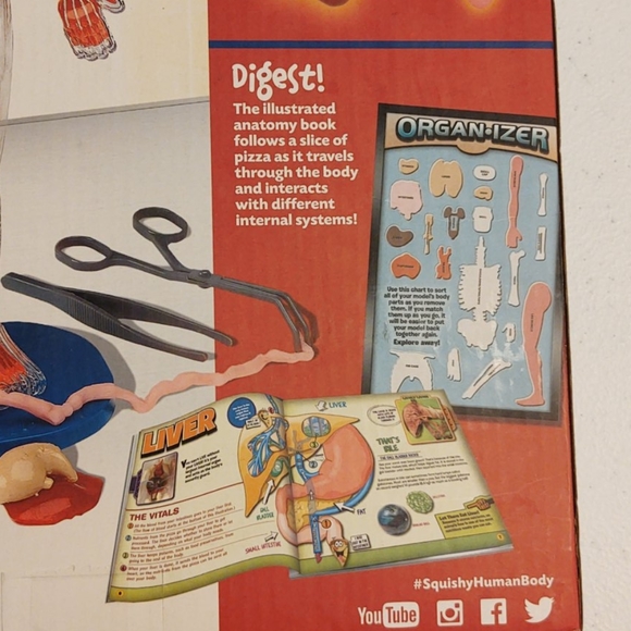 Smart Lab | Toys | 3 Squishy Human Body Educational Game | Poshmark